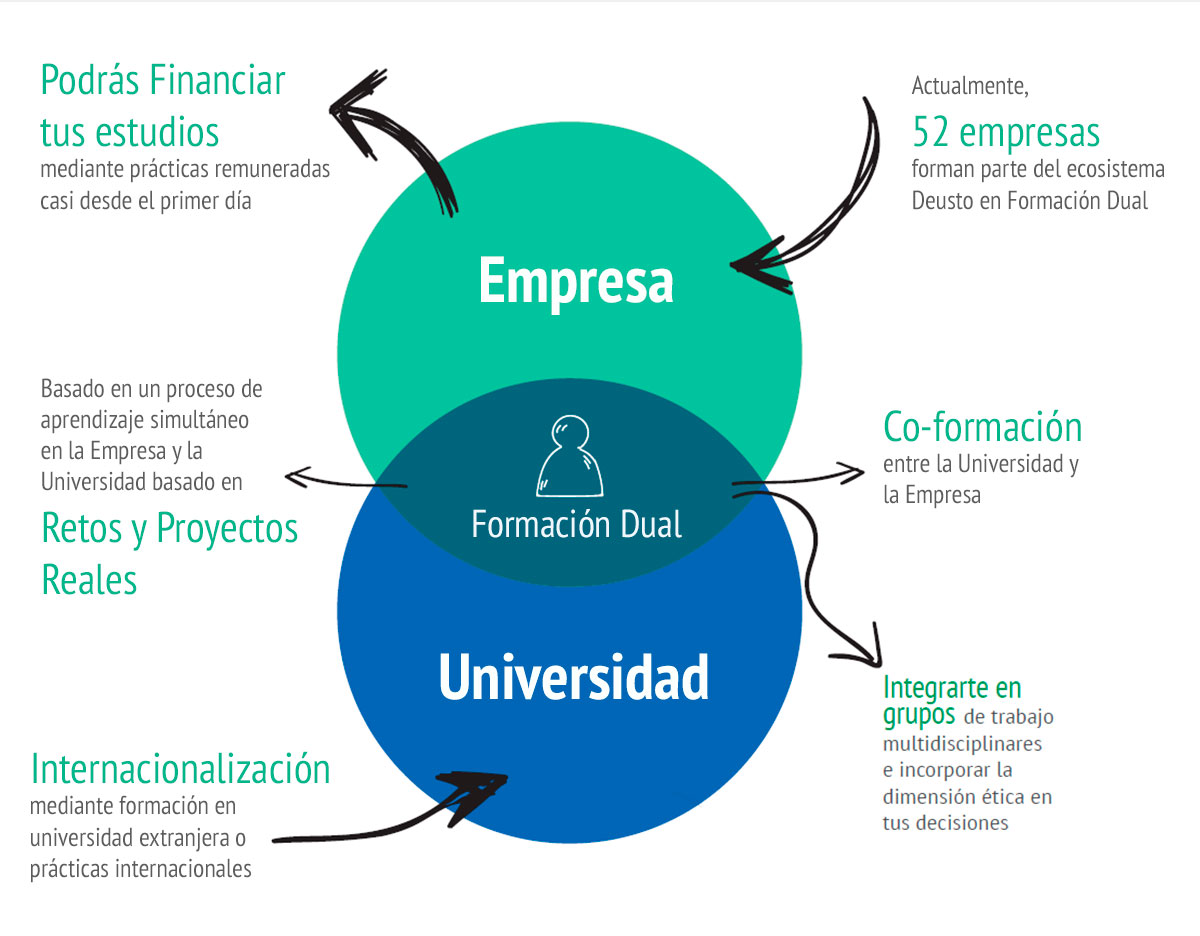 Formuación Dual - Universidad de Deusto